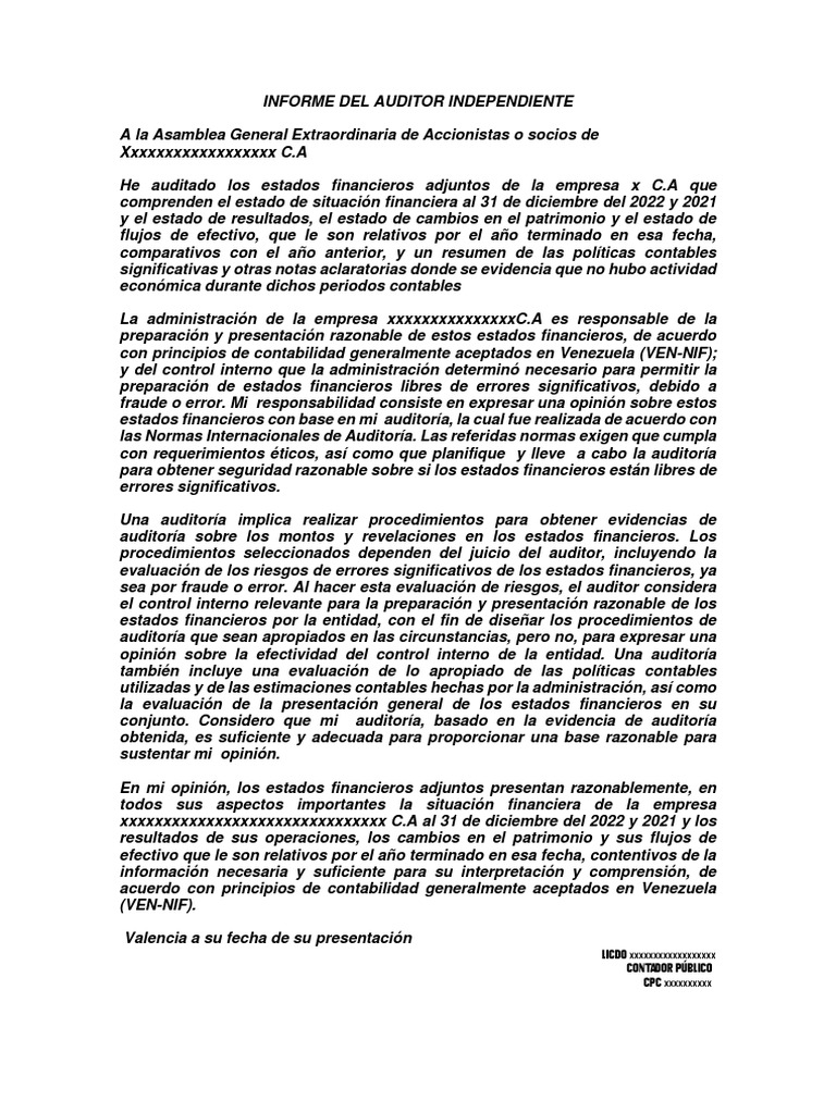 Informe Del Auditor Independiente | PDF | Auditoría | Estado financiero
