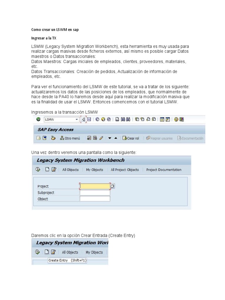 Como Crear Un LSWM en Sap - Incompleto | PDF