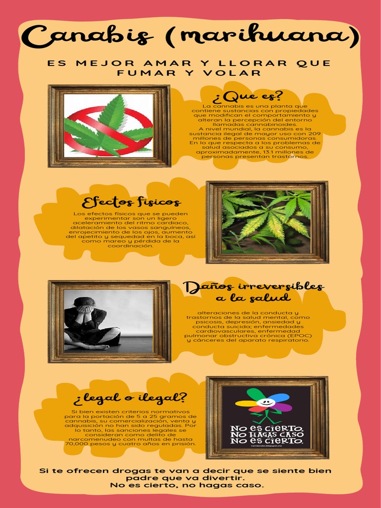 Infográfia Canabis | PDF
