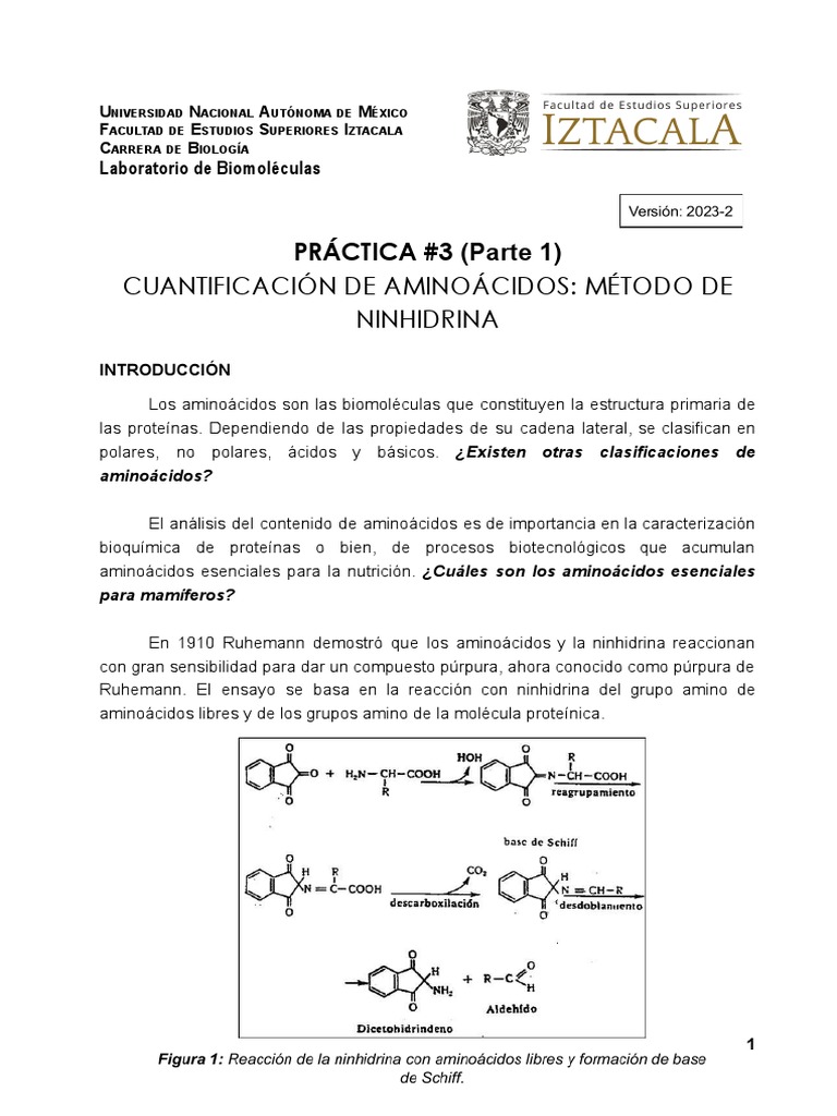 Cuantificación de Aminoácidos: Ninhidrina | PDF