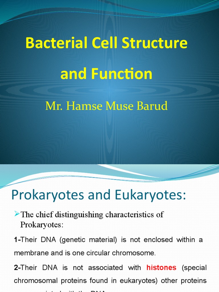 Presentation 2 | PDF | Cell Membrane | Cell (Biology)
