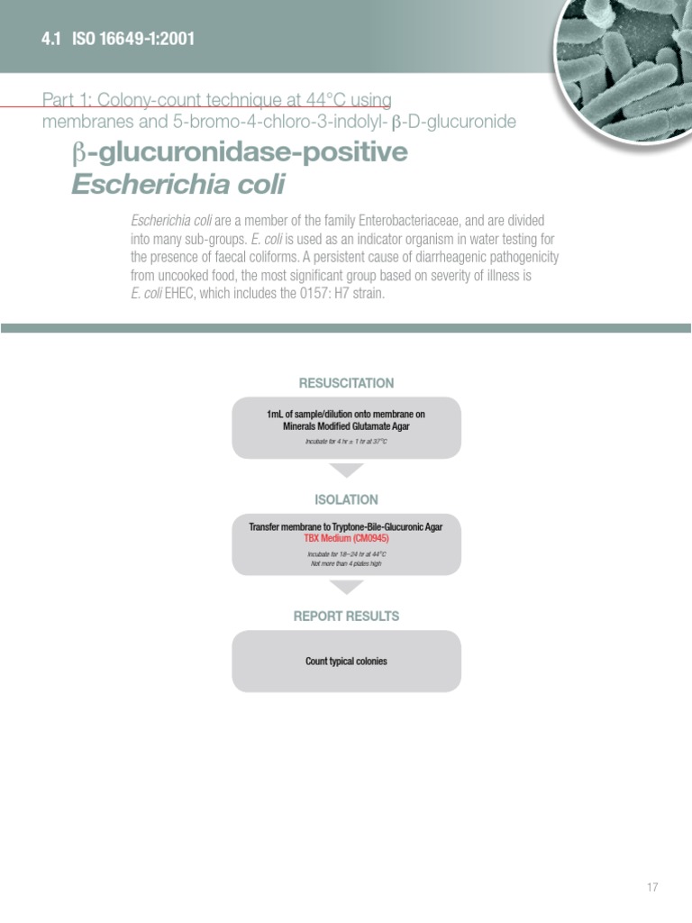 ISO 16649-1 E.coli | PDF