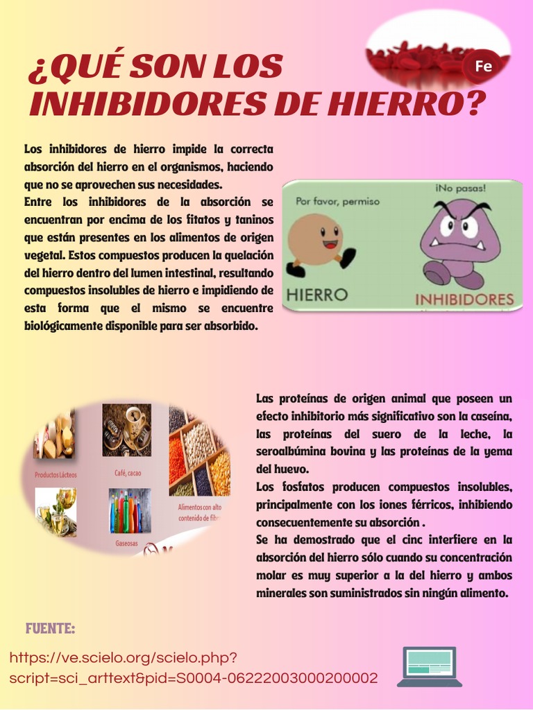 ¿Qué Son Los Inhibidores de Hierro | PDF | Nutrición | Dieta y nutrición