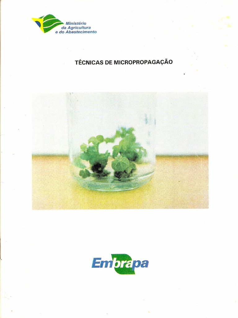micropropagaçaõ embrapa | PDF