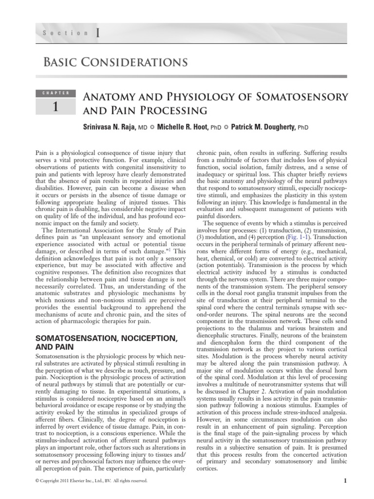 Benzon Essentials of Pain Medicine, Third Edition | PDF