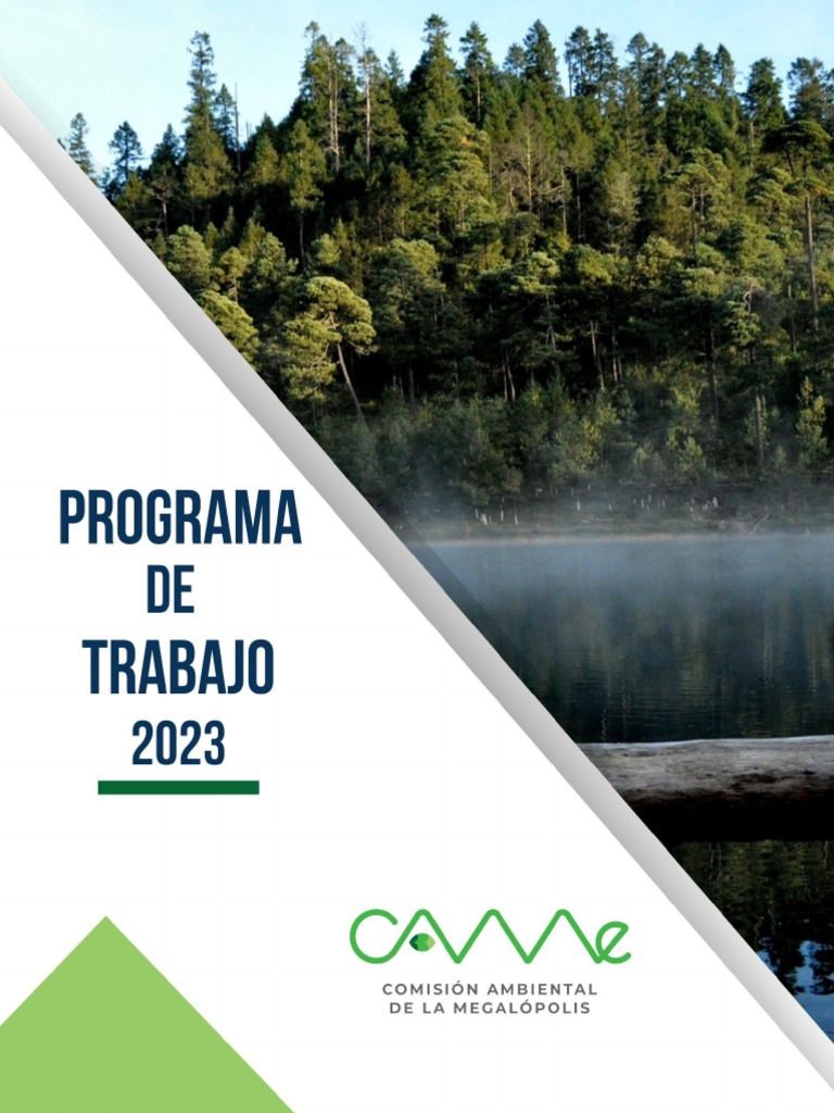 Programa 2023 Cordinacion Ejecutiva CAMe | PDF