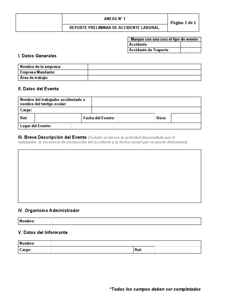 Formato - Reporte Preliminar | PDF