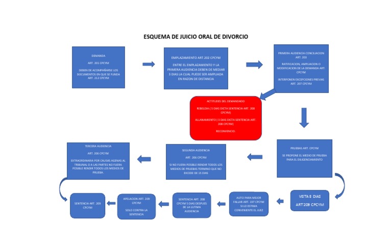Esquema de Juicio Oral de Divorcio | PDF | Sentencia (ley) | Gobierno