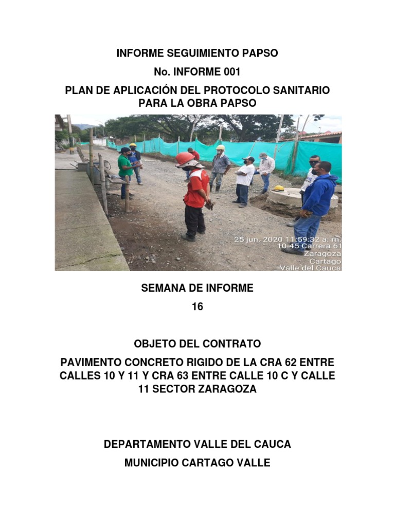 Informe Seguimiento Papso - Informe #1 Semana 16 | PDF