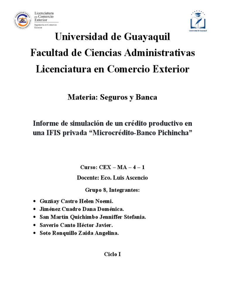 Grupo 8 - Informe de Simulación de Microcrédito Del Banco Pichincha | PDF | Marketing | Mercado ...