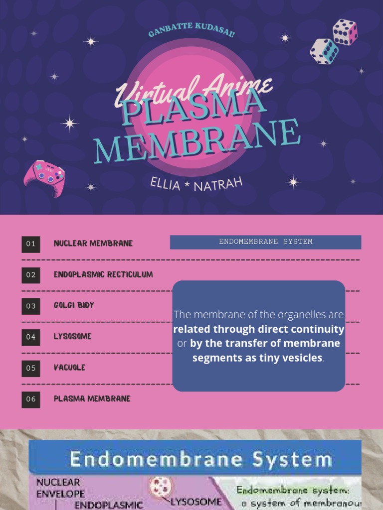 Nuclear Membrane | PDF | Cell Membrane | Lipid Bilayer
