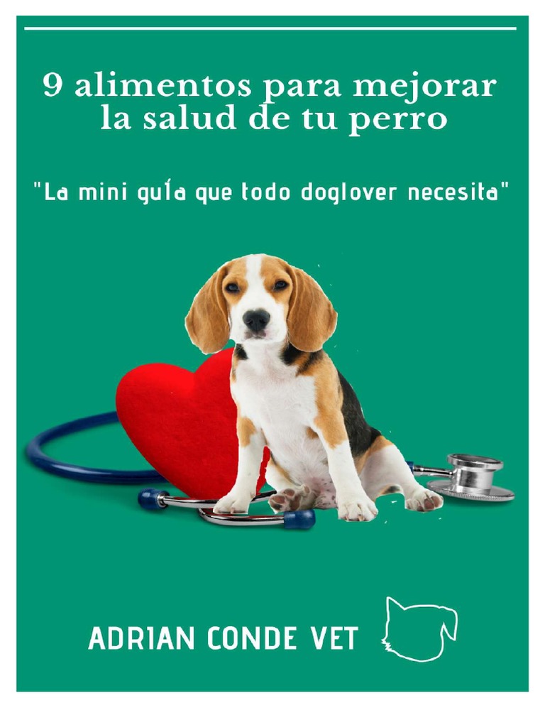 Mini Guía Salud Perro Compressed | PDF | Petróleo | Alimentos