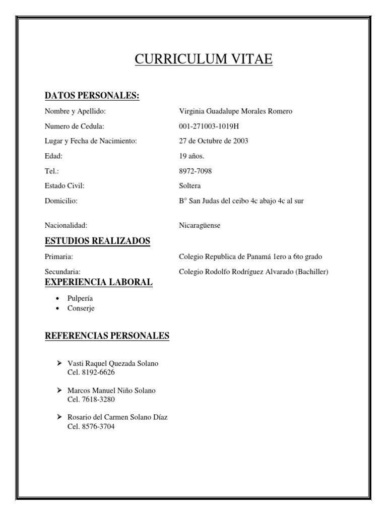 Curriculum Vitae Virginia | PDF
