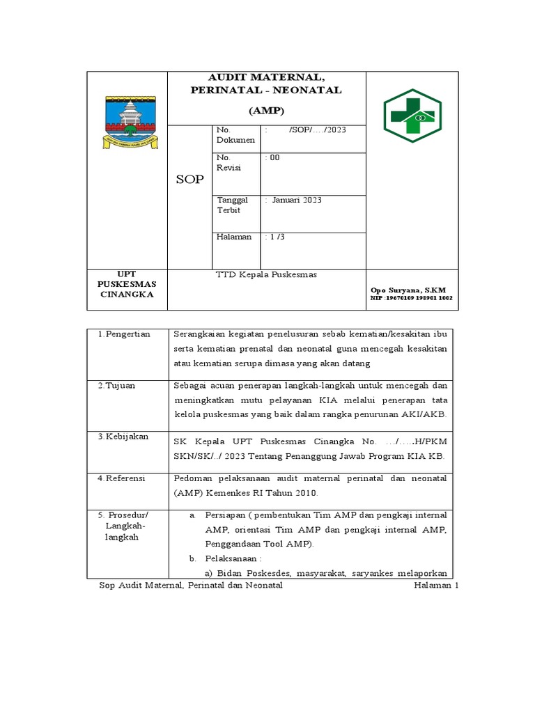 Sop Audit Maternal. Perinatal - Neonatal | PDF | Teknologi & Rekayasa