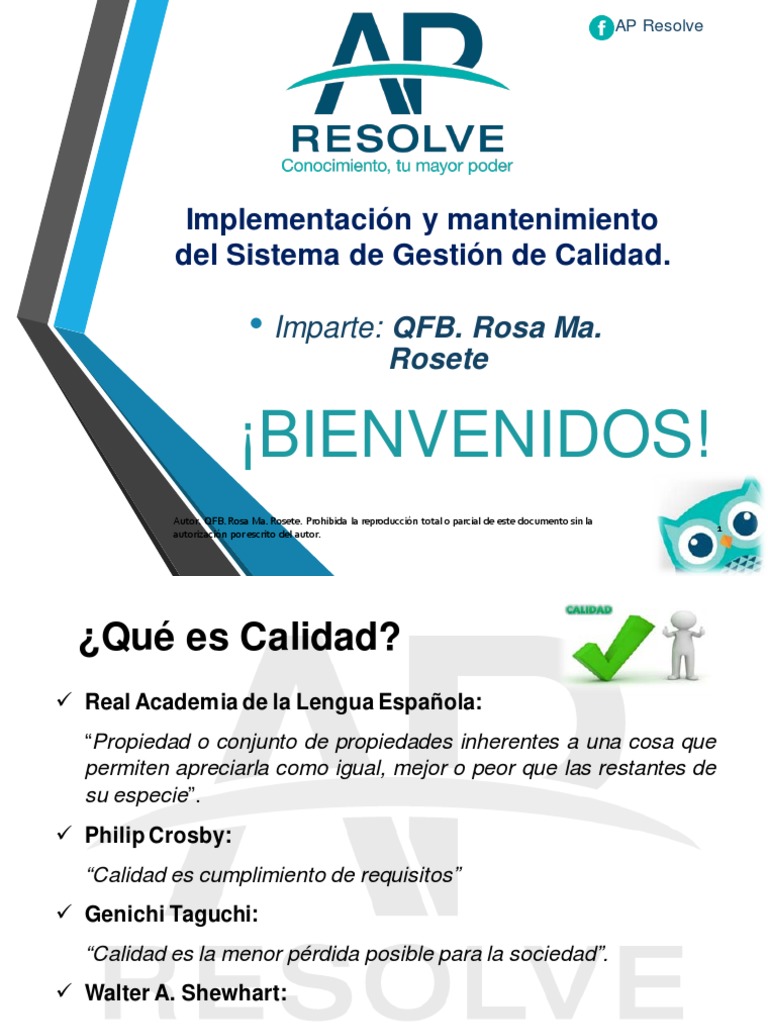 Sistema de Gestión de Calidad: Guía Esencial | PDF