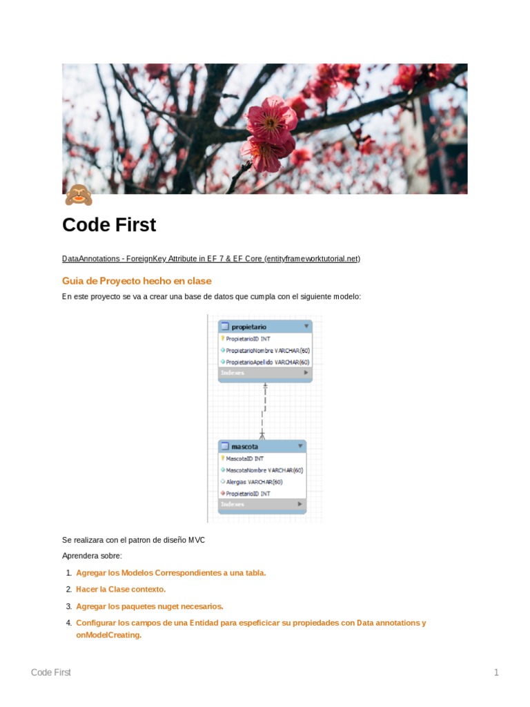 Code First .NetCore | PDF