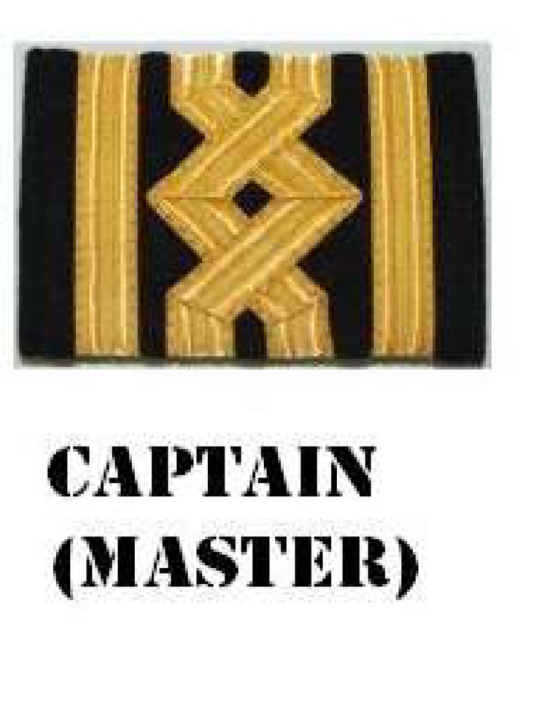 Insignia-By Master | PDF