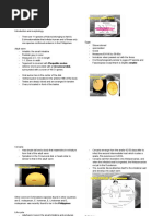Enterobius Vermicularis: Cellophane (Scotch) Tape Method | PDF ...