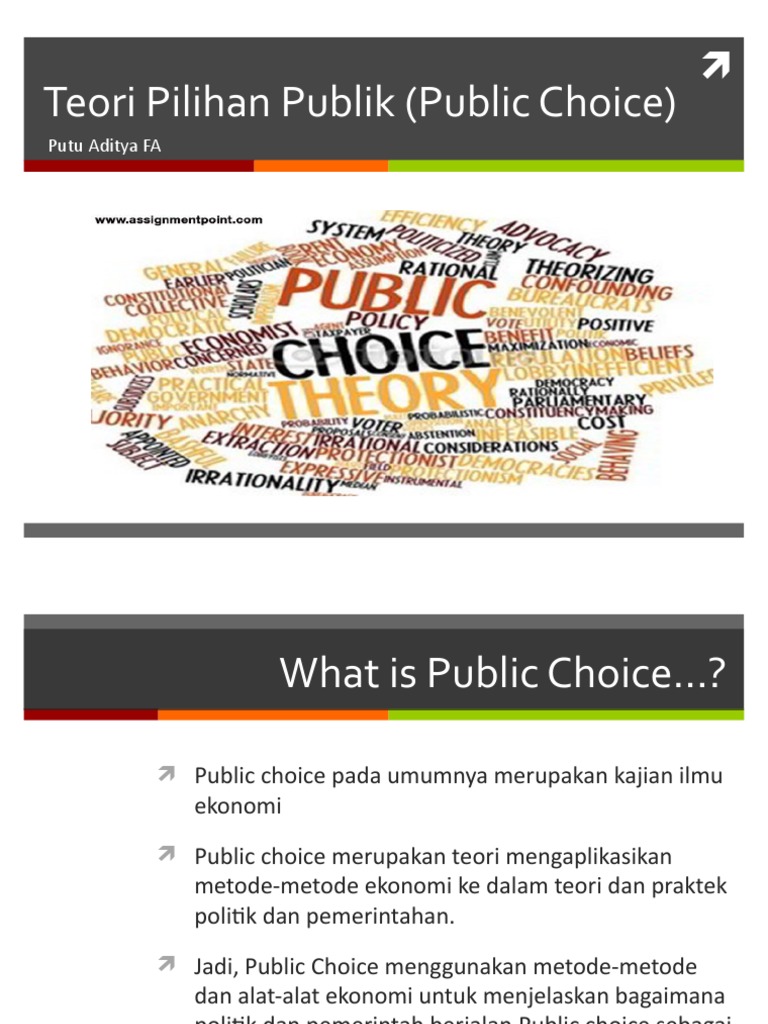 Kebijakan Publik Public Choice Theory | PDF