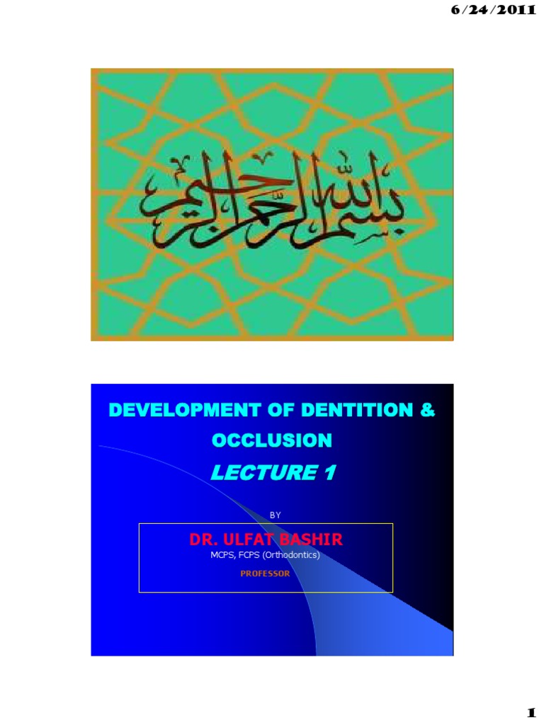 Dentition & Occlusion Development | PDF | Science & Mathematics