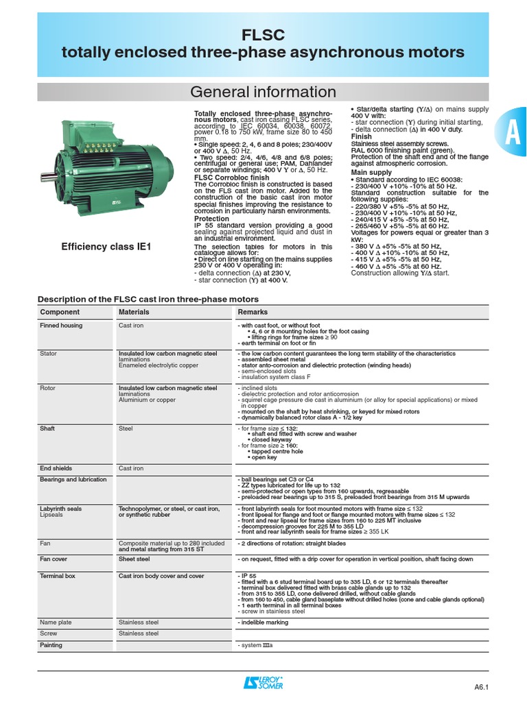 Leroy Somer 4-FLSC-en | PDF