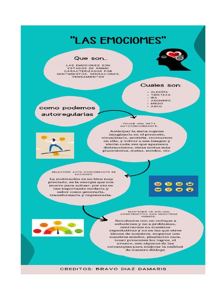 Ejemplo de Infografía de Las Emociones | PDF