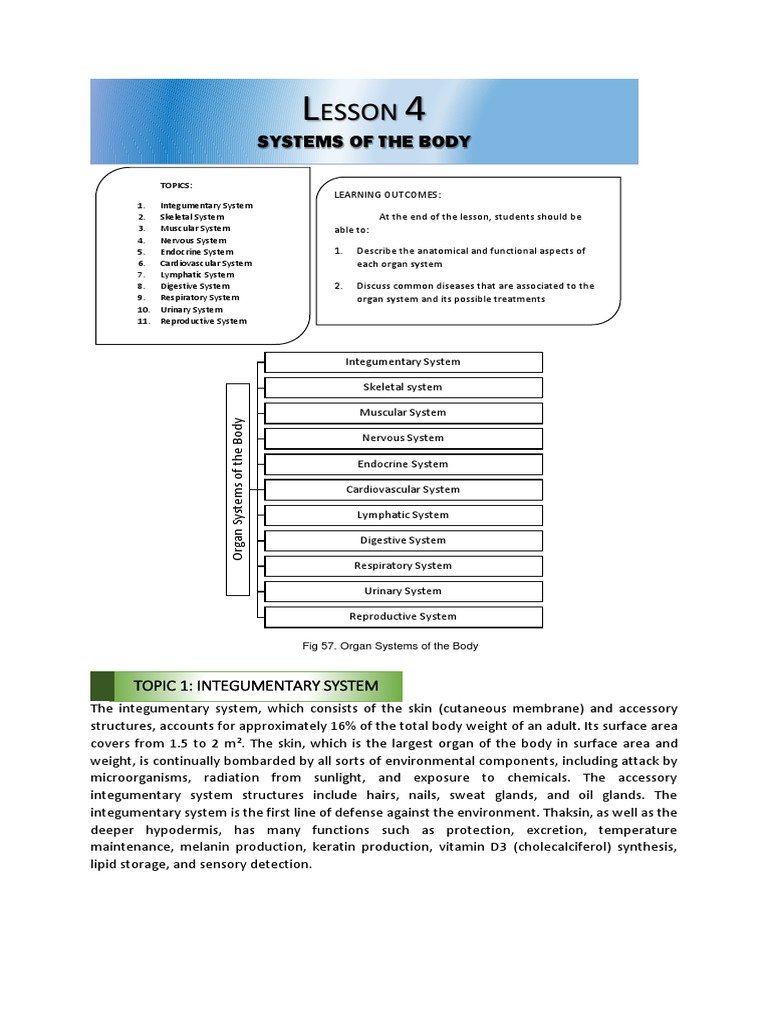 Anaphy - Lesson 4 - Topic 1 | PDF | Wellness | Science & Mathematics