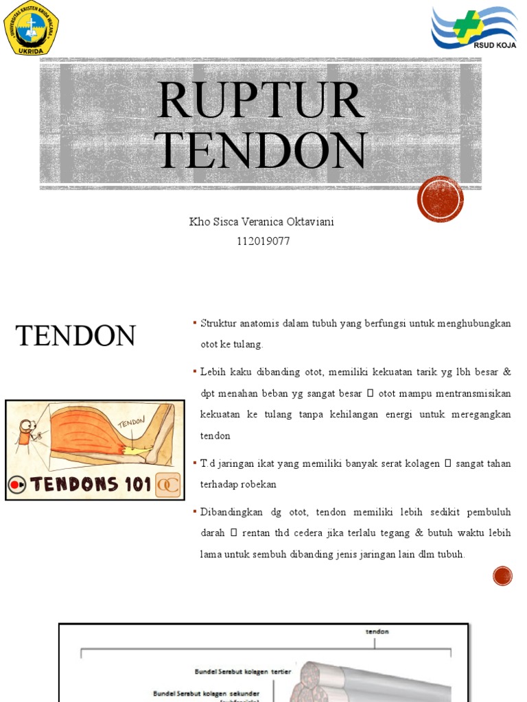 Ruptur Tendon | PDF