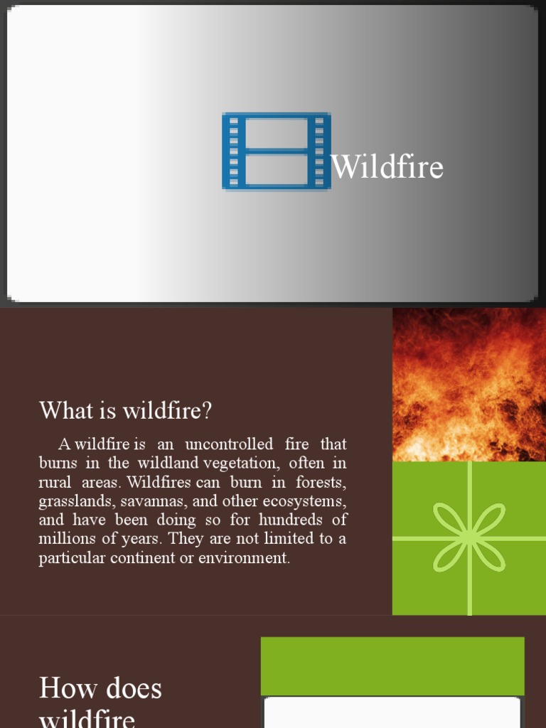 Wildfire | PDF