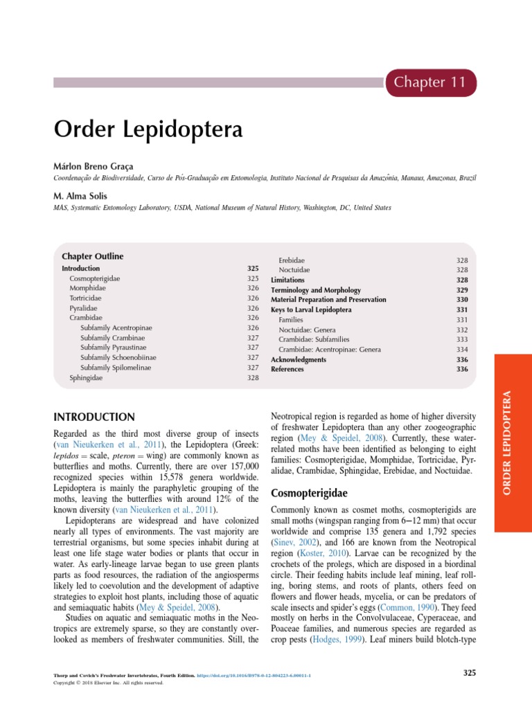 Order Lepidoptera | PDF