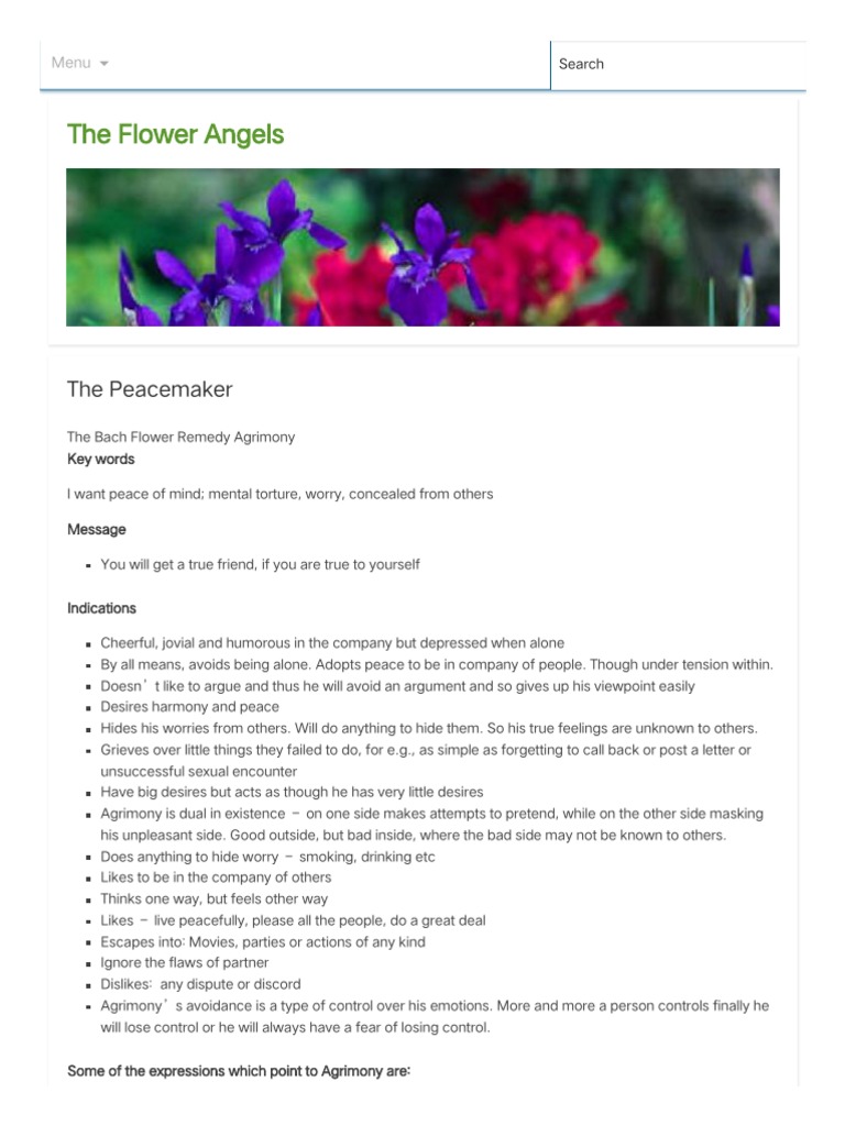 The Peacemaker - The Flower Angels | PDF