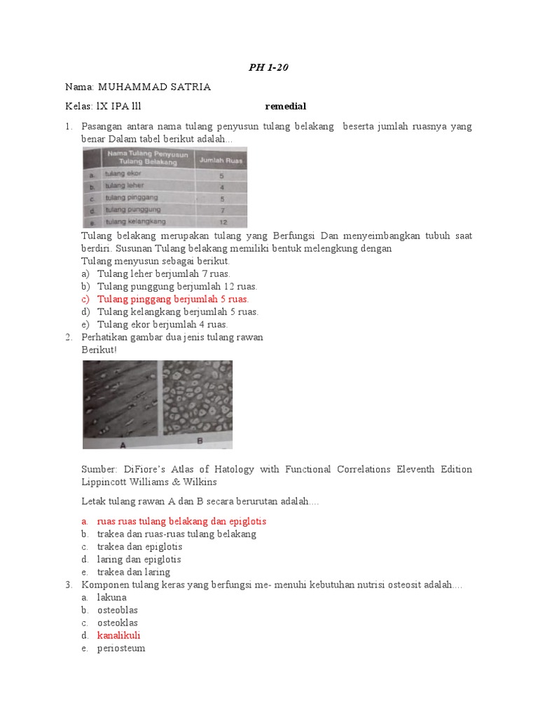 Remed Biologi Satria | PDF