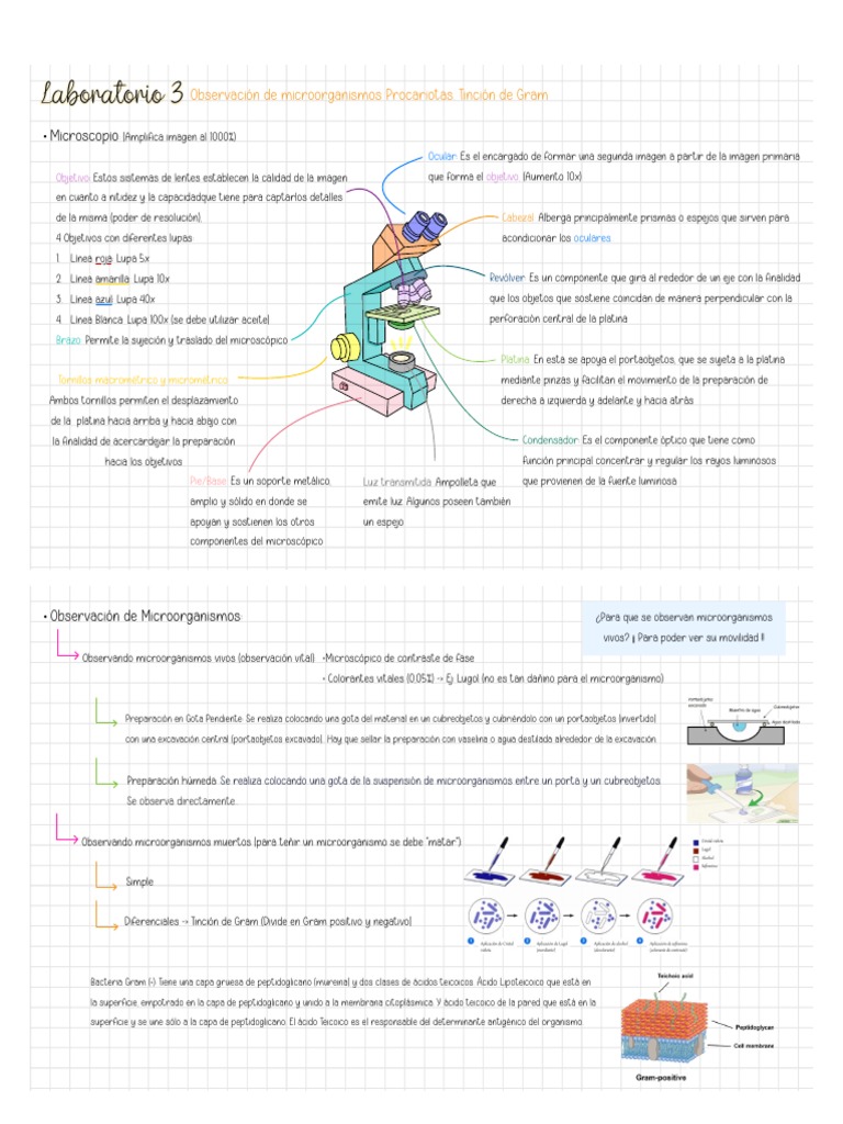 Lab 3 Pdf 