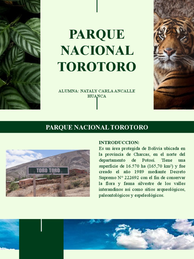 Parque Nacional Torotoro | PDF | Naturaleza