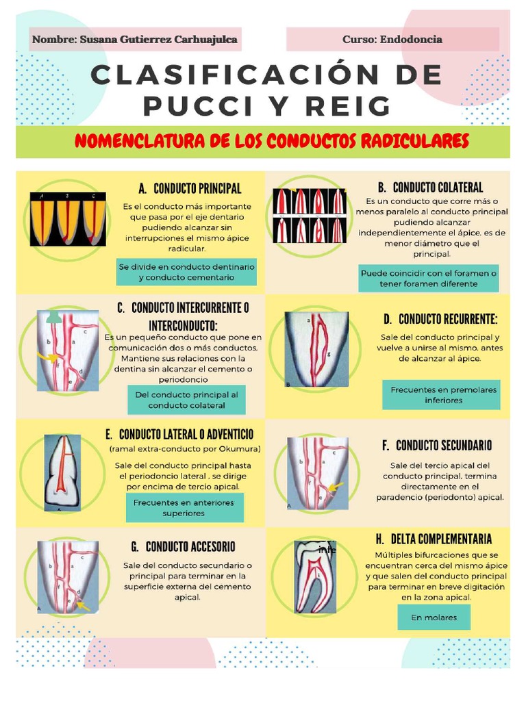 Clasificacion de Pucci y Reig | PDF