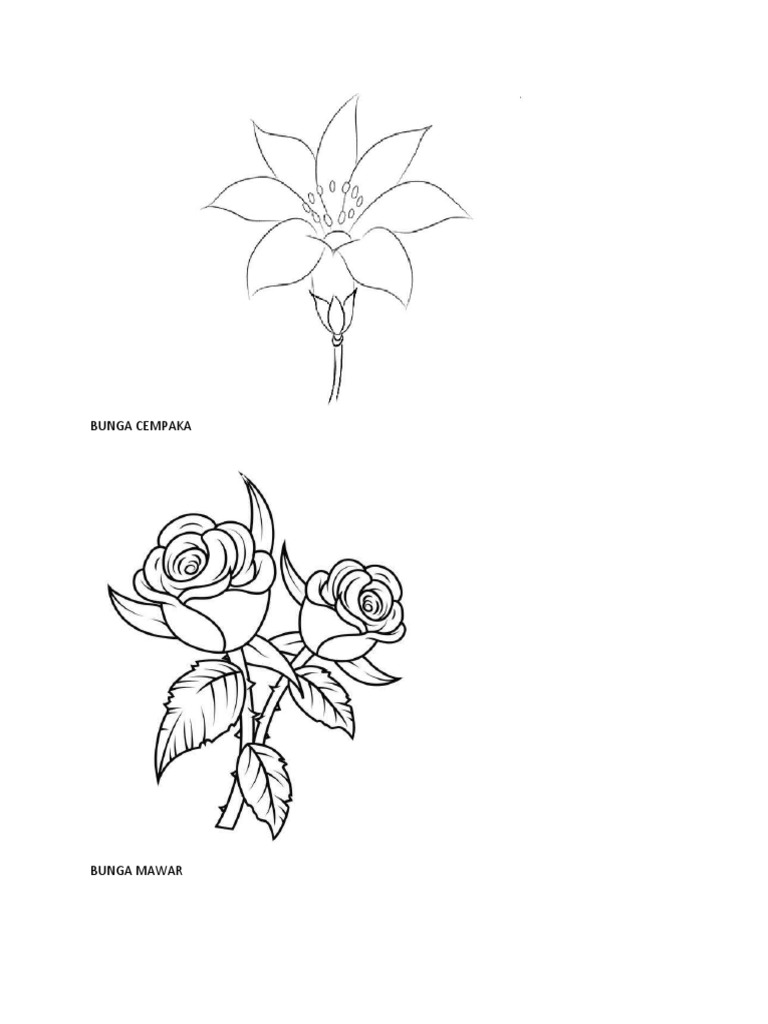 Jenis-Jenis Bunga | PDF