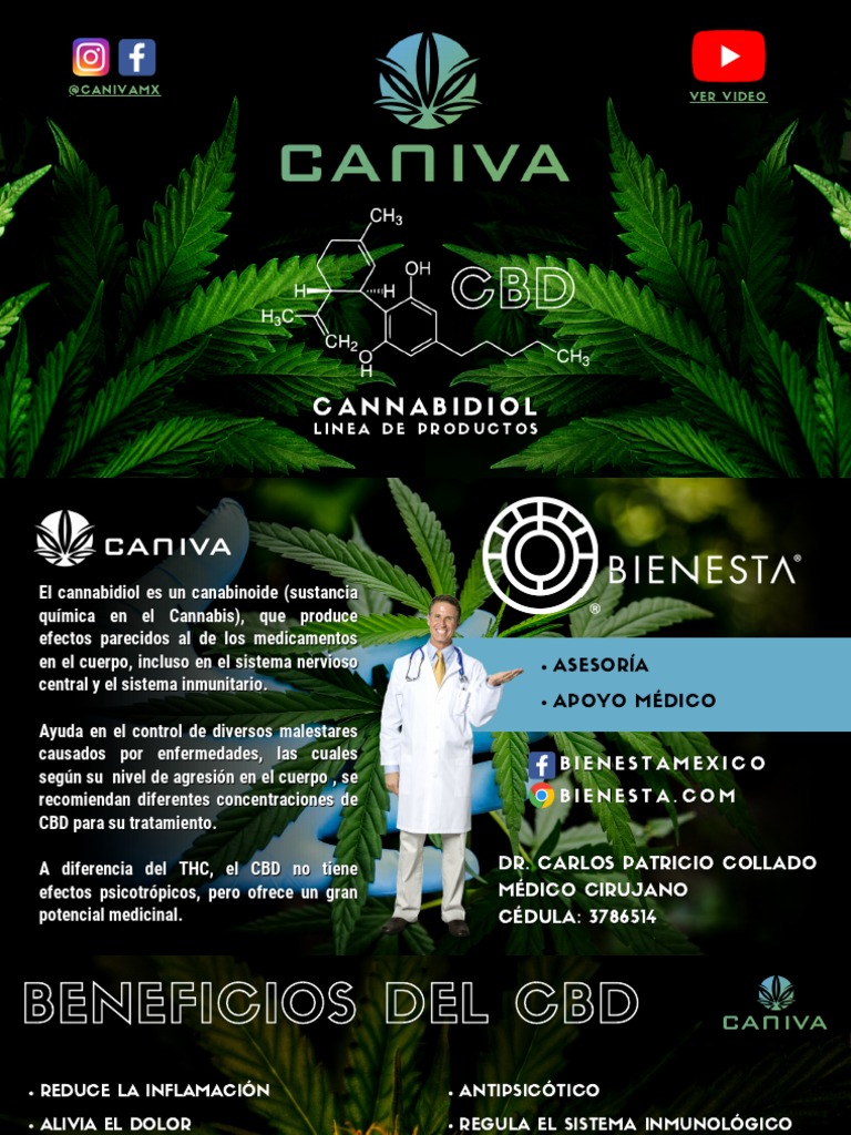 Caniva Presentacion Precios | PDF | Tetrahidrocannabinol | Psoriasis
