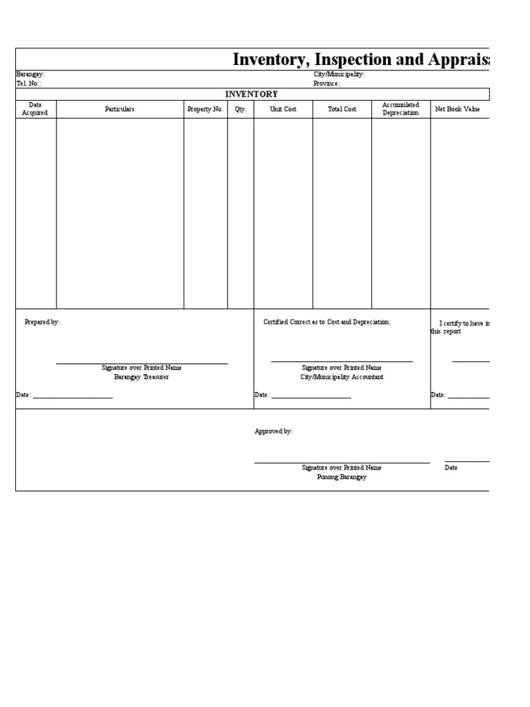 A-29 Inventory, Inspection and Appraisal Report | PDF