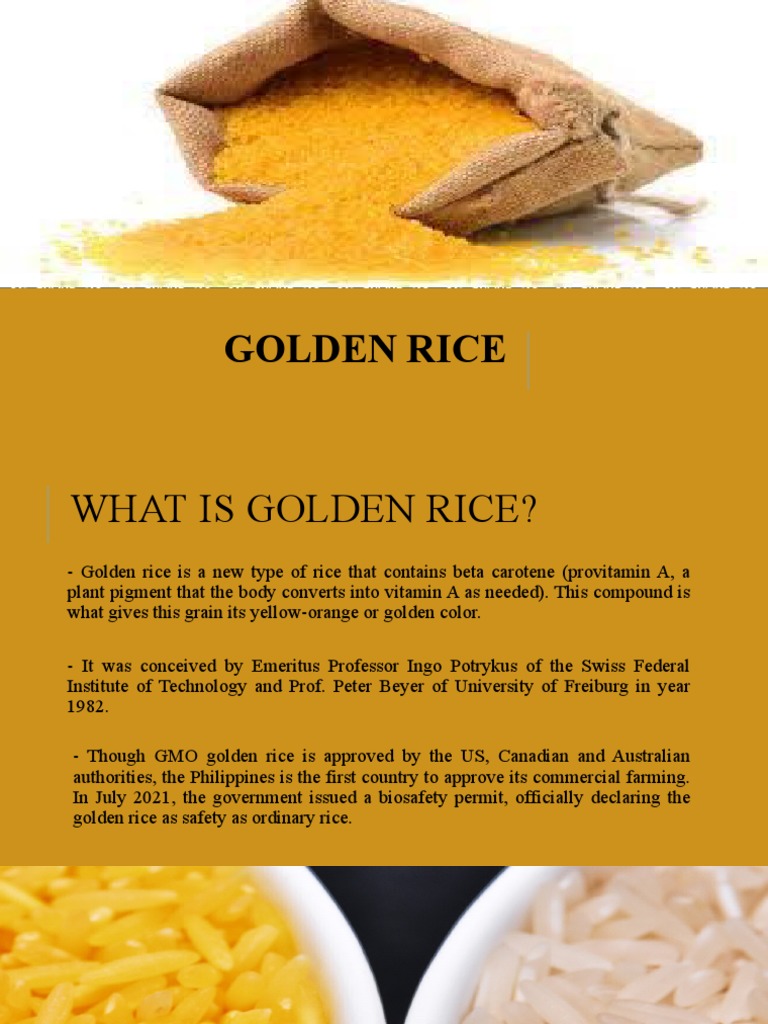 Golden Rice | PDF