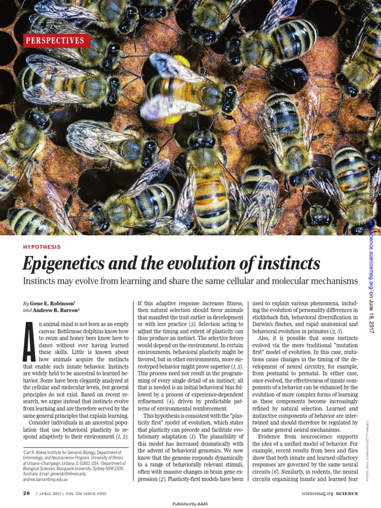 Robinson-Barron-2017_Epigenetics-and-the-evolution-of-instincts | PDF