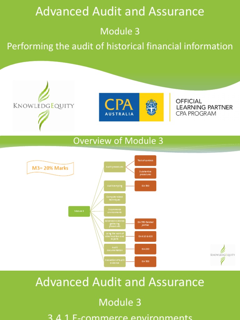 Advanced Audit Techniques | PDF | Audit | Financial Audit