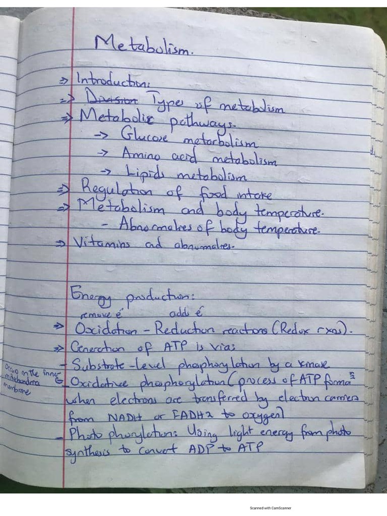 Metabolism Lecture Notes. | PDF
