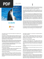 El Delfin La Historia de Un Soñador | PDF | Mar | Sueño