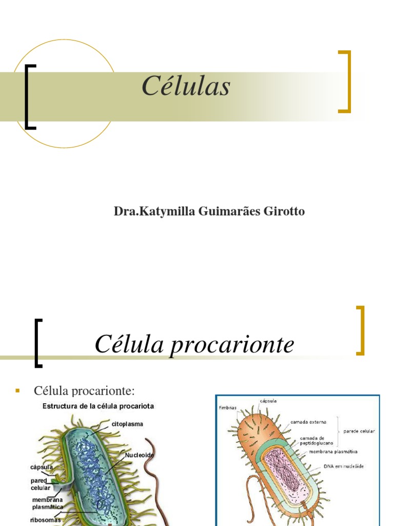 Célula Procarionte e Eucarionte 20211 | PDF
