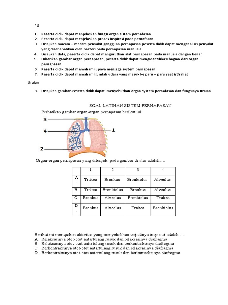 Uh Sistem Pernafasan Pat Ipa 8 | PDF