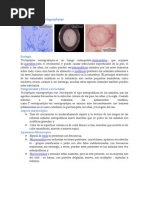 Trichophyton Rubrum | PDF | Epidemiología | Medicina Veterinaria