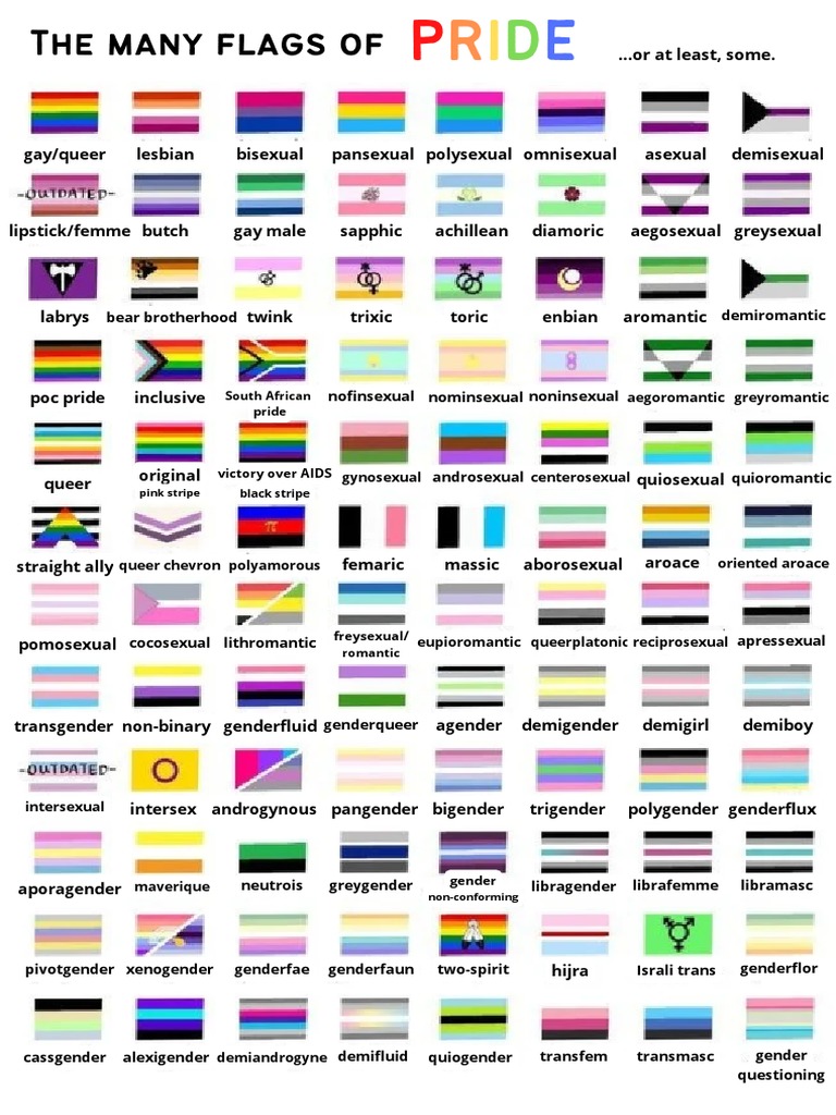 Understanding Pride Flags and Meanings | PDF