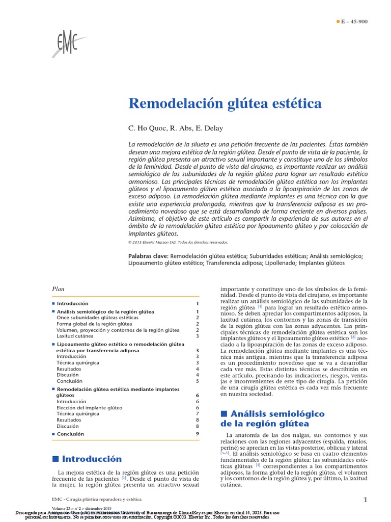 Remodelación Glútea Estética 2015 | PDF | Nalgas | Anatomía humana