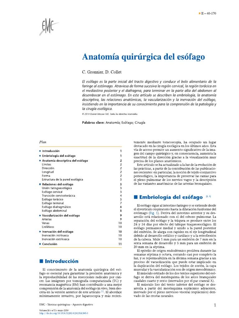 Anatomia y Embriologia Del Esofago 2011 | PDF