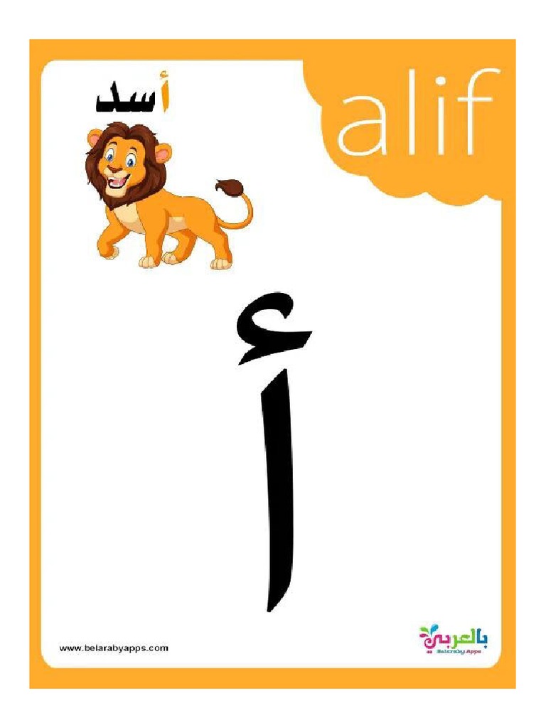 Arabic Flashcards Alif Latter | PDF